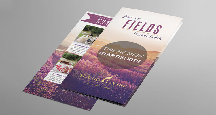 Flyers – Mojo-Sticker-Inc